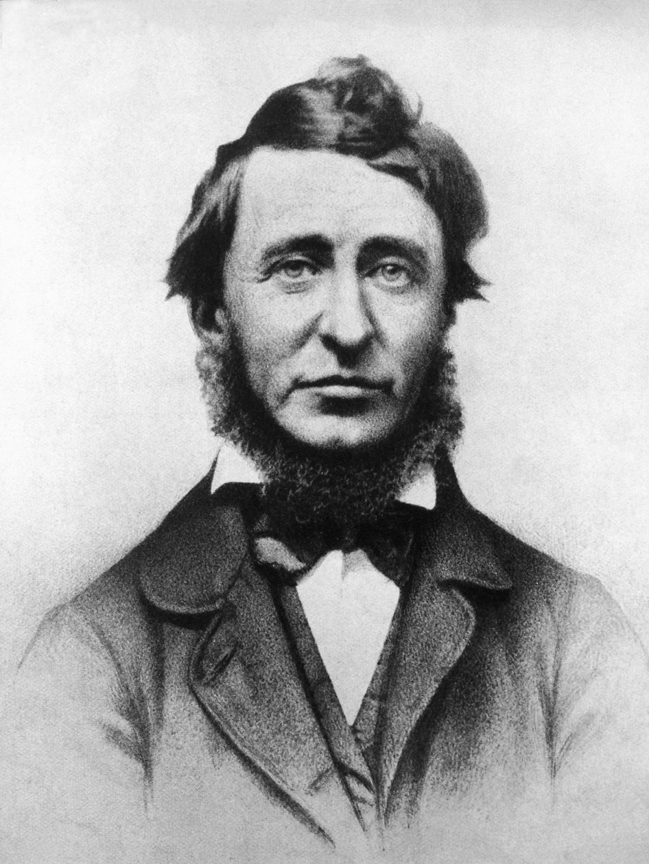 Info – Johnny Flaherty Bard