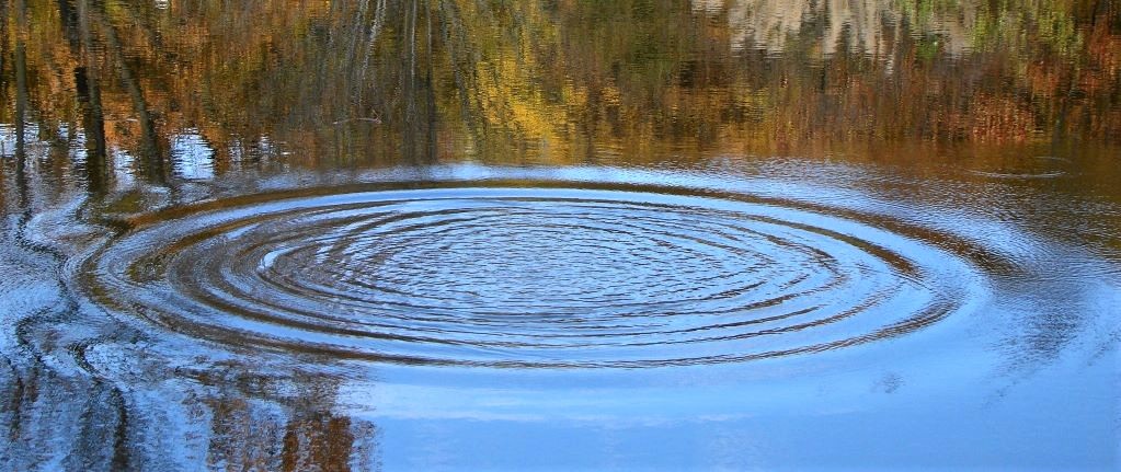 Johnny Flaherty Bard